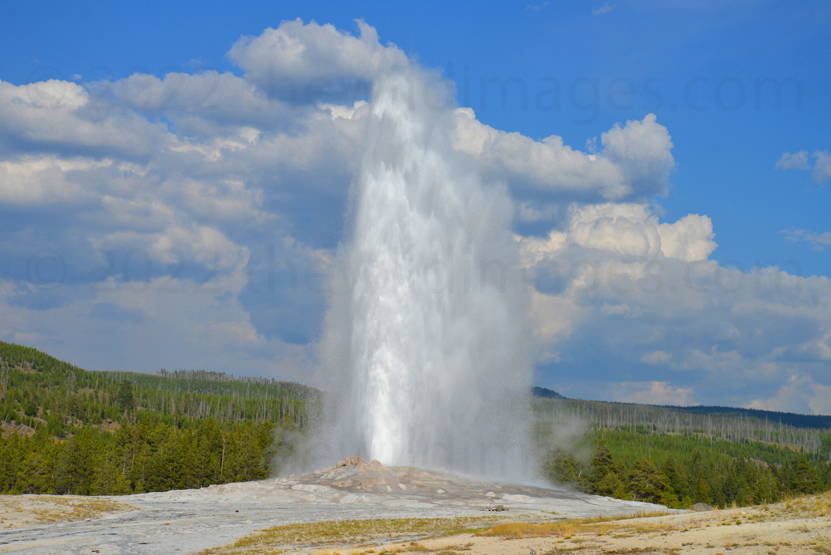 A Geyser That Needs No Introduction, The World Famous Old Faithful ...