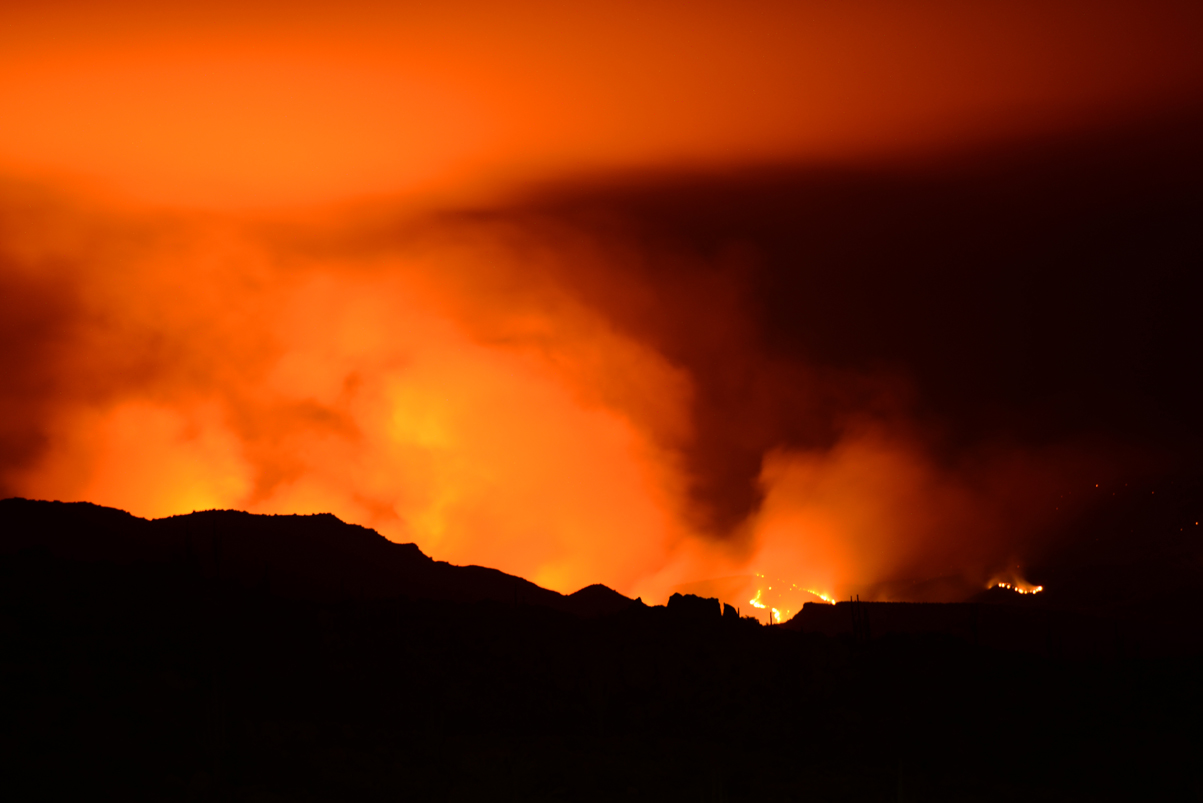 The Last Stand Of The Bush Fire - The Wild Images